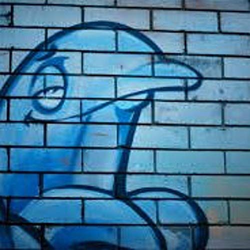 Seaweed by Binx. on Amazon Music - Amazon.com