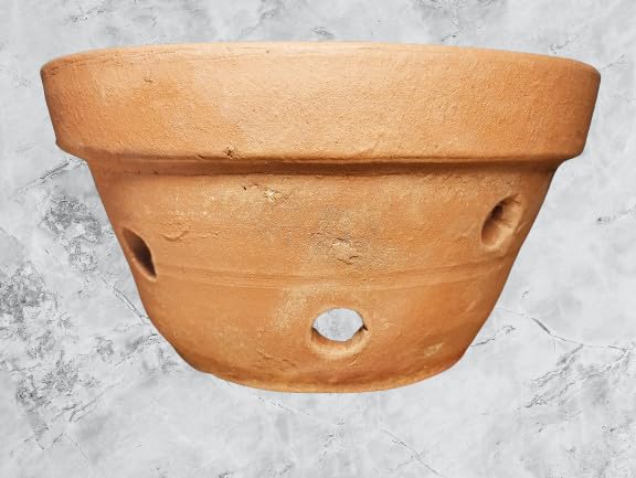 Clay Mall Kerala 6" inch Clay Orchid Pot for Orchid Plants/Orchid ...