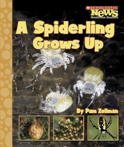 A Spiderling Grows Up (Scholastic News Nonfiction Readers): Zollman ...