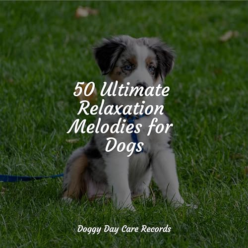 Play 50 Ultimate Relaxation Melodies for Dogs by Calm Doggy, Relaxmydog ...