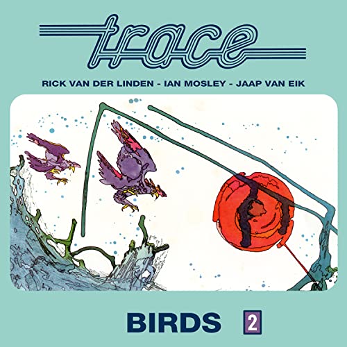 Play Birds 2 (expanded & remastered) by Trace & Rick van der Linden on ...