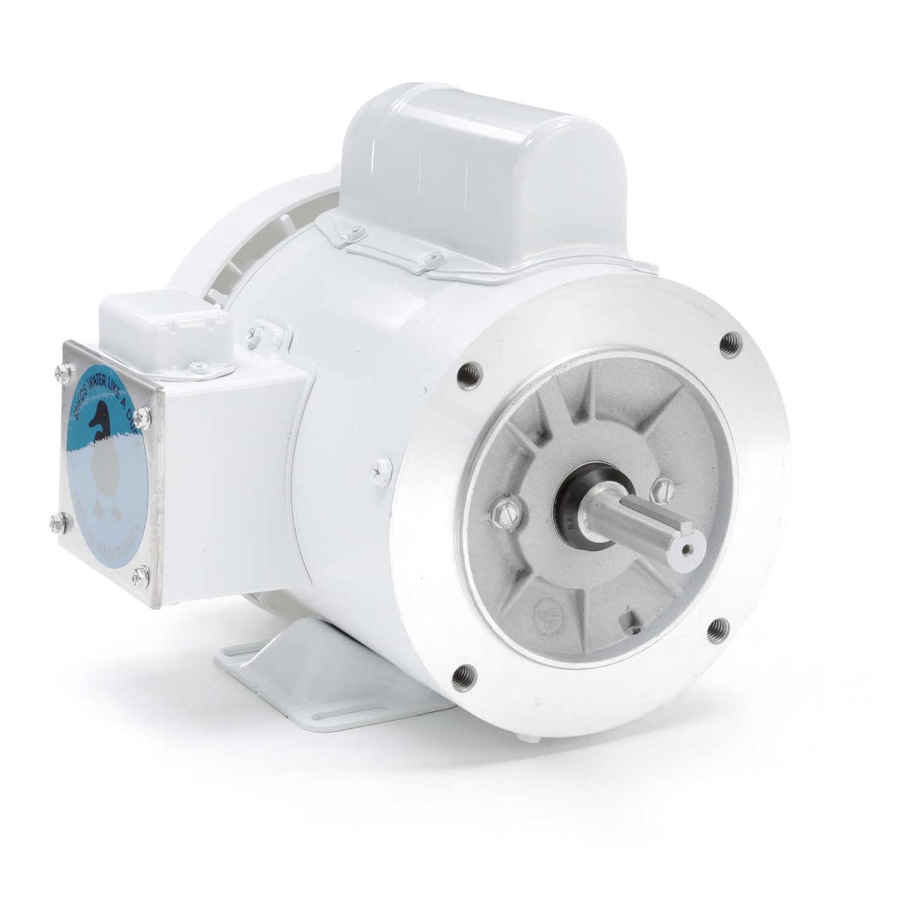 Washdown Motor, Face/Base, 10-7/8 in. L - Electric Fan Motors - Amazon.com