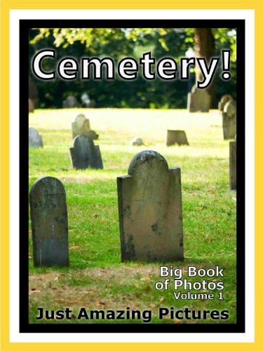 Amazon | Just Cemetery Graveyard Photos! Big Book of Photographs ...