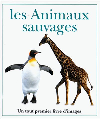 Amazon.com: Les animaux sauvages: 9782841980444: Jean-Marc Daume: Books