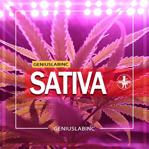 Play Sativa by Genius Lab Inc on Amazon Music