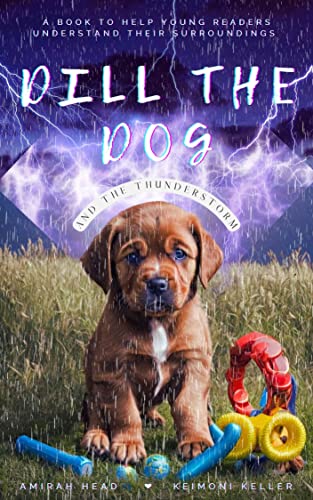 Dill The Dog : And The Thunderstorm eBook : Head, Amirah , Keller ...