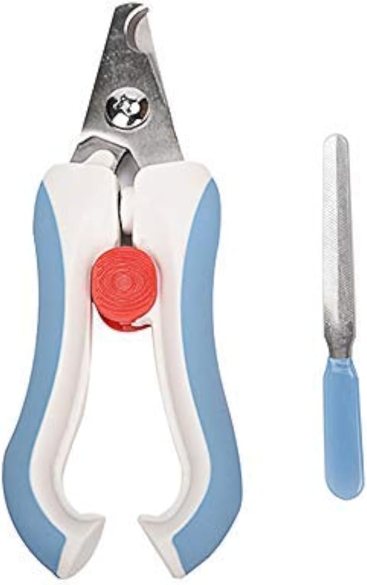 Amazon.com: OMEM Bird Nail Clippers with Grinding Nail Scissors Tool ...