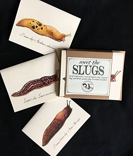 Amazon.com: Slug Cards, blank card gift set with Banana slug, Leopard ...