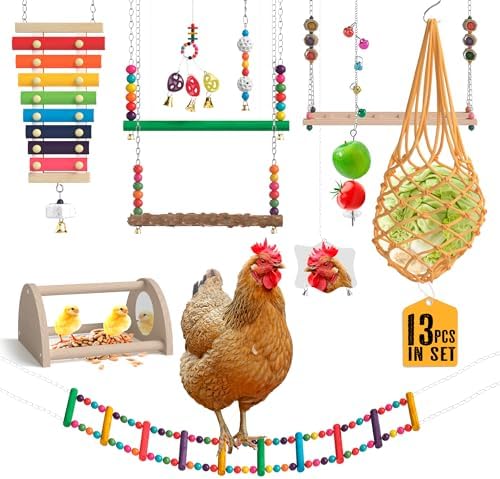 Amazon.com : Chicken Coop Accessories - Swings, Enrichment Toys ...