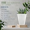Amazon.com: Houseables White Bucket, White Metal Bucket, Small Pail ...