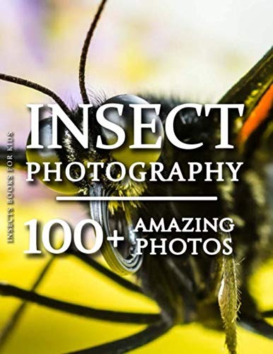 Amazon.com: Insects Books For Kids - Insect Photography: 100+ Amazing ...