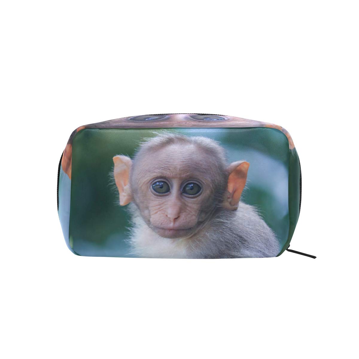Monkey Makeup