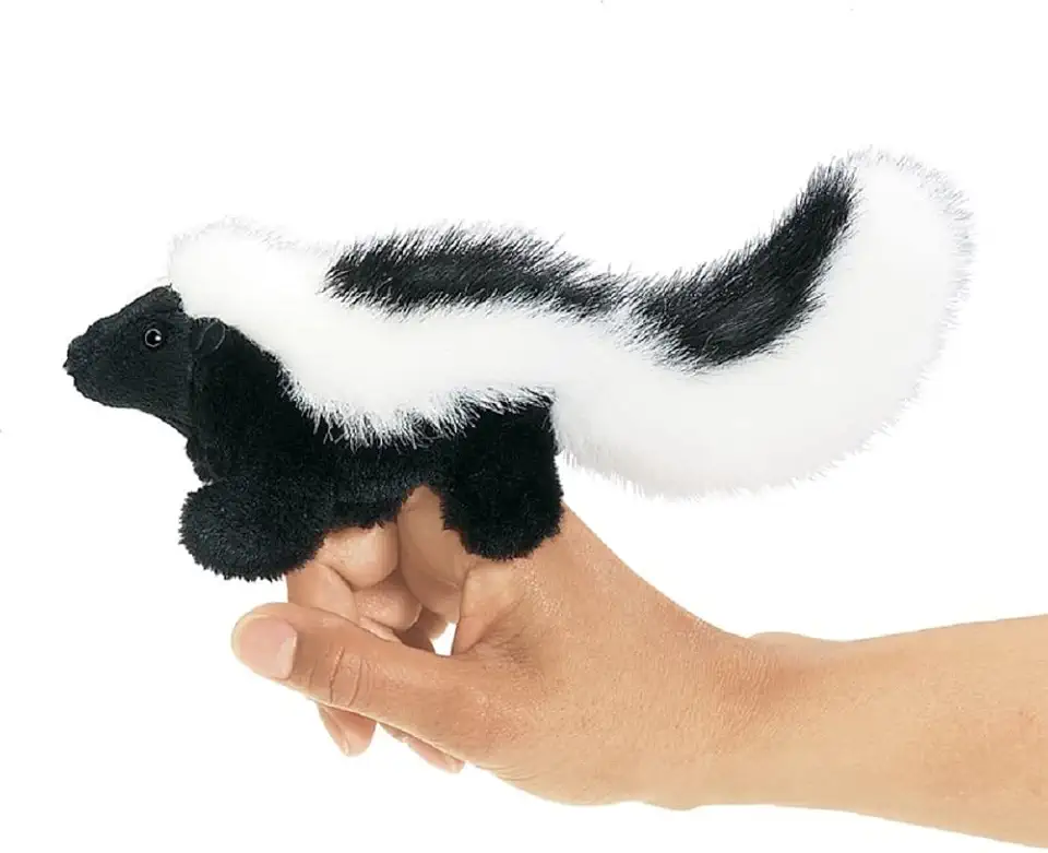 Exploring The Truth: Is Skunk A Rodent Or Something Else? | PetShun