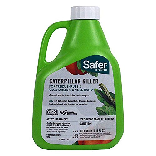 Amazon.com: Caterpillar Killer, 16-oz. Concentrate : Patio, Lawn & Garden