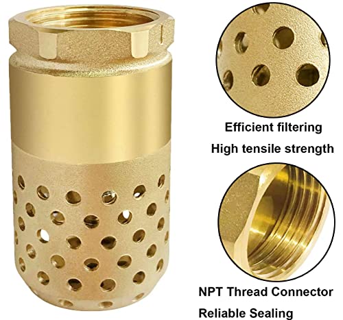 Brass Foot Valve, 2 inch NPT Spring Mesh Check Valve Female Connection ...