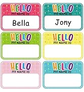 Amazon.com: DISJOURNEY 36Pcs Hello My Name is Stickers Name Plates for ...