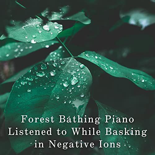 Play Forest Bathing Piano Listened to While Basking in Negative Ions by ...