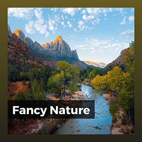 Amazon MusicでRivers and Streams, Sound of Nature Library & Nature ...