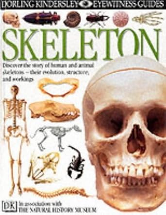Skeleton: Steve Parker: 9780863182723: Amazon.com: Books
