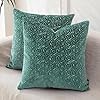 Amazon.com: FIFU 20x20 Inch Throw Pillow Cover Set of 2 - Jacquard ...
