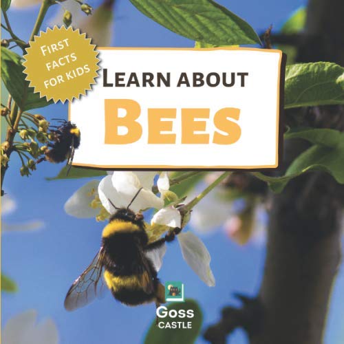 Buy Learn About Bees - First Facts for Kids (First Facts for Kids! The ...