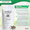 ecoEat Edible Tarantula Spider - 100% Edible Bug Edible Dehydrated ...