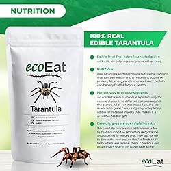 ecoEat Edible Tarantula Spider - 100% Edible Bug Edible Dehydrated ...