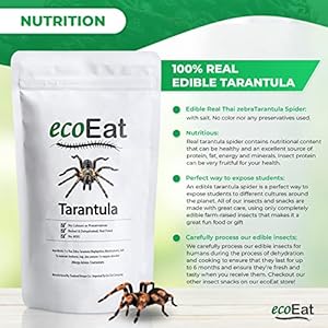 ecoEat Edible Tarantula Spider - 100% Edible Bug Edible Dehydrated ...