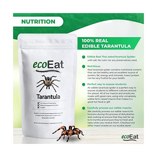ecoEat Edible Tarantula Spider - 100% Edible Bug Edible Dehydrated ...