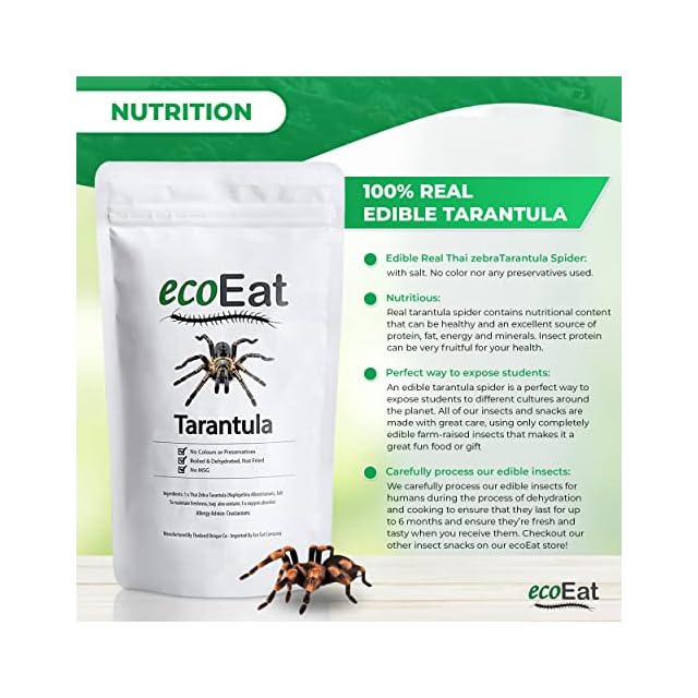 ecoEat Edible Tarantula Spider - 100% Edible Bug Edible Dehydrated ...