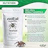 ecoEat Edible Tarantula Spider - 100% Edible Bug Edible Dehydrated ...