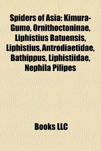 Spiders of Asia: Kimura-gumo, Zebra spider, Ornithoctoninae ...