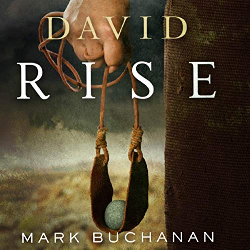 Amazon.com: David: Rise: The David Trilogy, Book 1 (Audible Audio ...