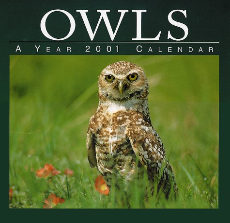 Owls 2001 Calendar: Unknown Author: 9781552850602: Amazon.com: Books