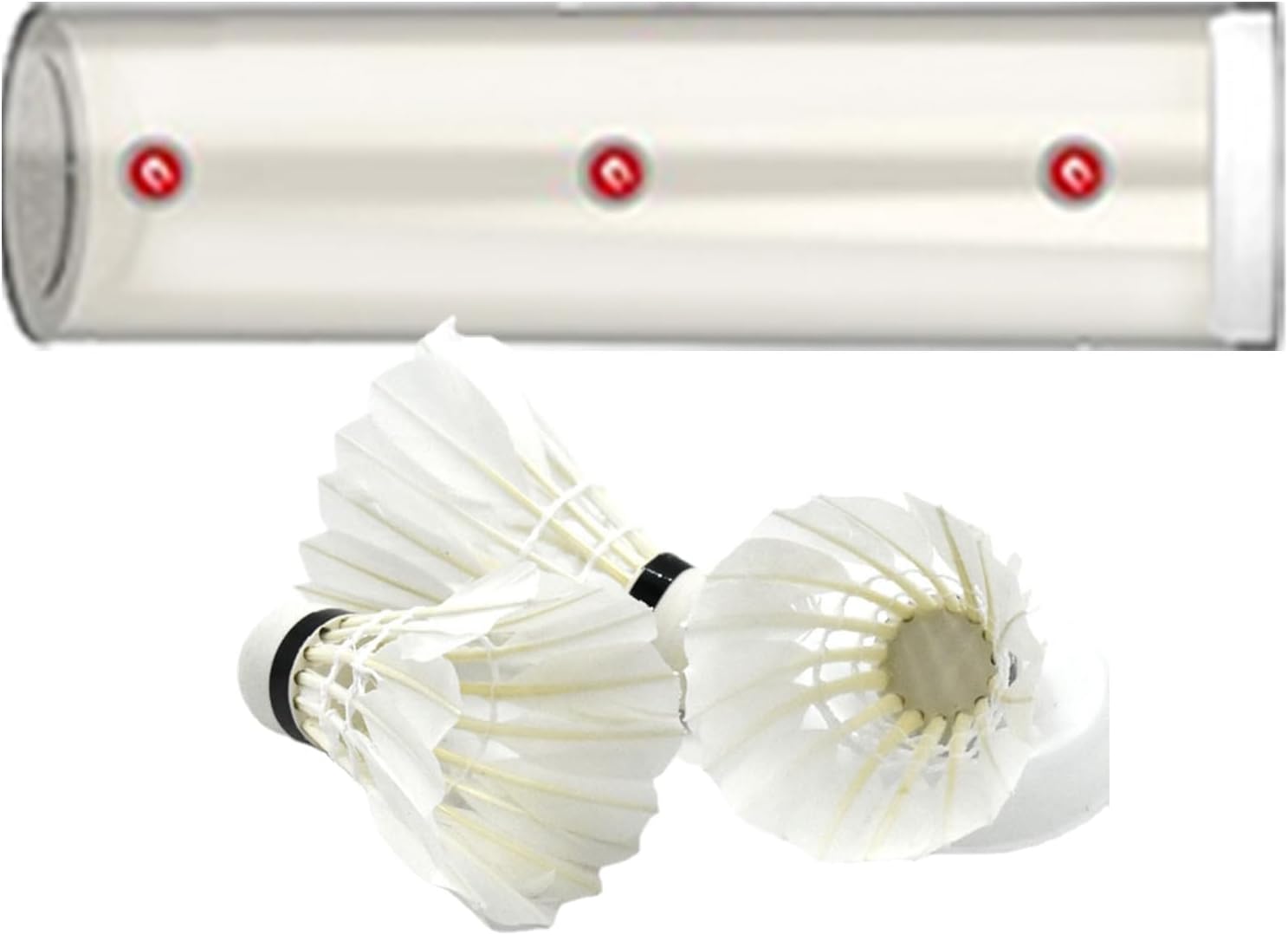 PIMEX Badminton Tube Organizer, Shuttlecocks Tube, Magnetic Balls ...