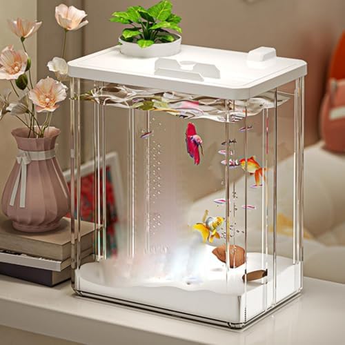 Fish Tank | Desktop Small Acrylic Fish Tank | Aquarium Starter Kits ...
