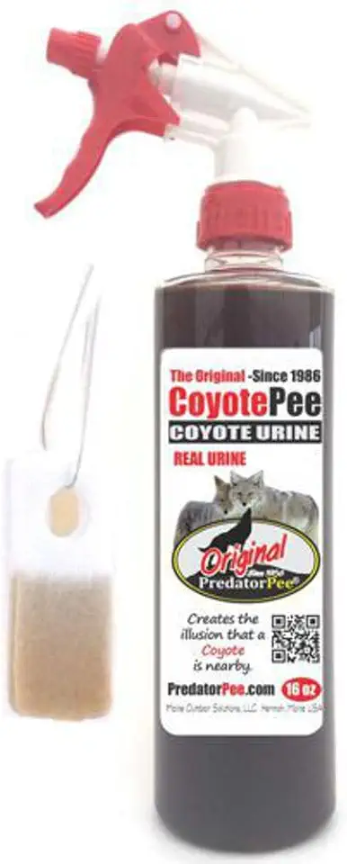 The Dangers Of Rat Urine: What You Need To Know | PetShun