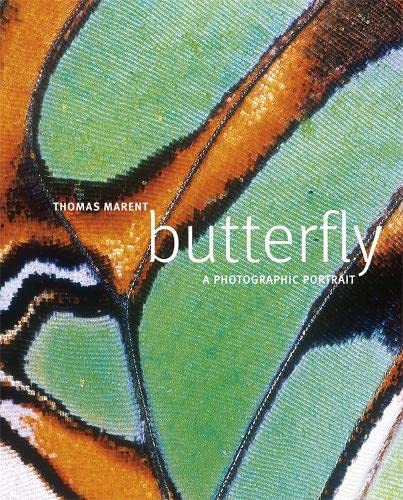 Amazon.com: Butterfly: A Photographic Portrait: 9781405325400: Thomas ...