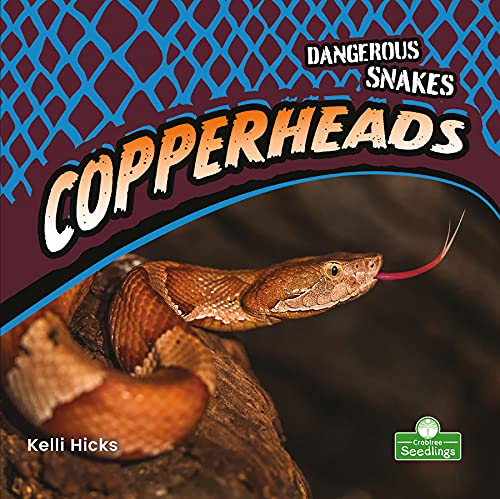Copperheads (Dangerous Snakes): Hicks, Kelli, Culliford, Amy ...