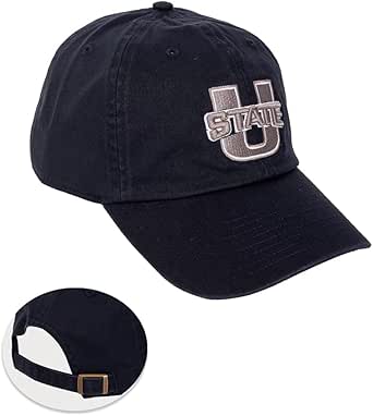 Amazon.com: Desert Cactus Utah State University Baseball Hat USU Aggies ...