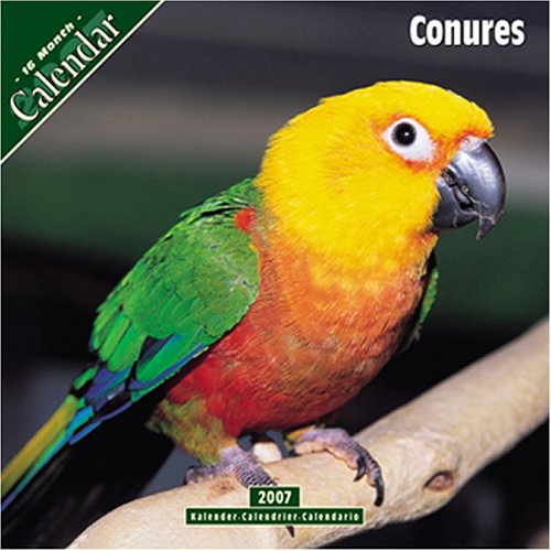 Amazon.in: Buy Conures 2007 Wall Calendar Book Online at Low Prices in ...