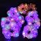 Amazon.com : Light Up Scrunchies - LED Scrunchie for Women & Girls ...