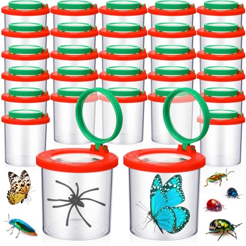 Tips for bug hunting with kids - Wonder at the World