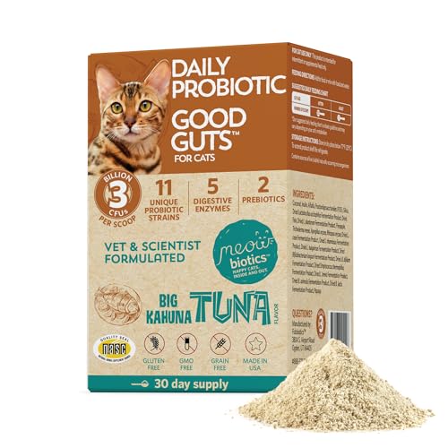 Cat Probiotics – The 15 best products compared - Wild Explained