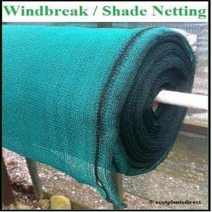 Yuzet 1m x 50m Green Windbreak Shade Netting, Garden Privacy, Plant ...