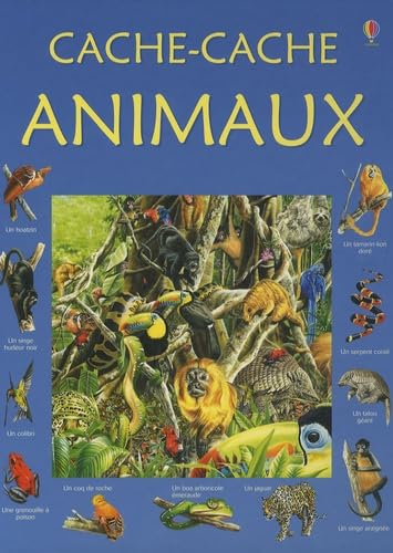 Amazon.fr - Cache-cache animaux - Young, Caroline, Collectif, Jackson ...
