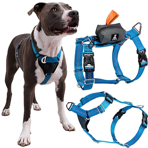 Wonder Walker Harness – The 15 best products compared - Wild Explained