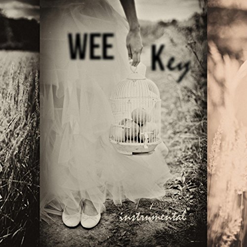 Amazon.co.jp: WEE Key : R.E.S.H.: デジタルミュージック