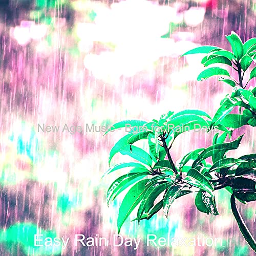 New Age Music - Bgm for Rain Days de Easy Rain Day Relaxation en Amazon ...