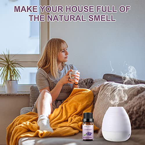 Snapklik.com : Lavender Essential Oil, 100% Pure Organic Lavender ...